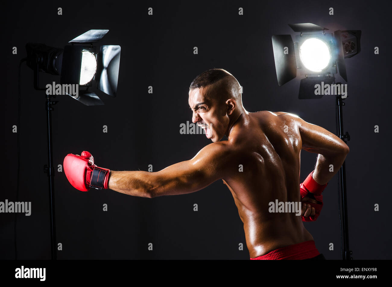 Boxer and studio lights Stock Photo - Alamy