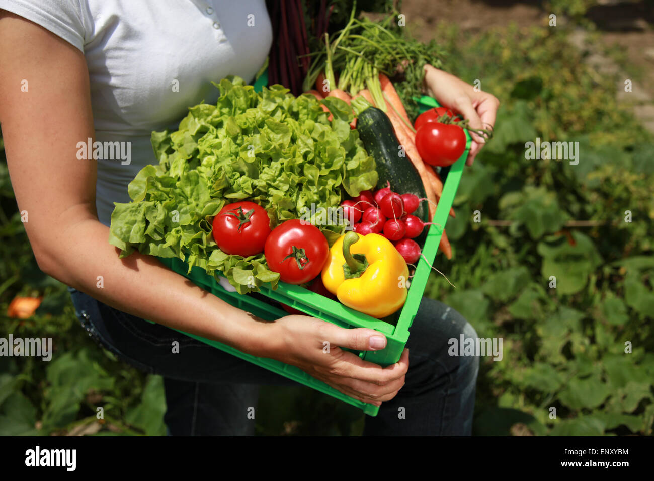 Frisches gemuse hi-res stock photography and images - Alamy