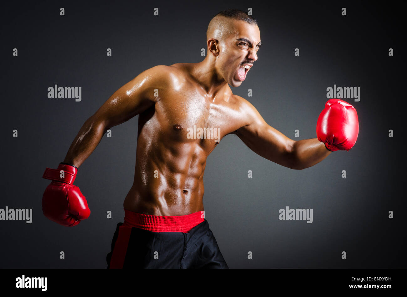 Muscular boxer in studio shooting Stock Photo - Alamy