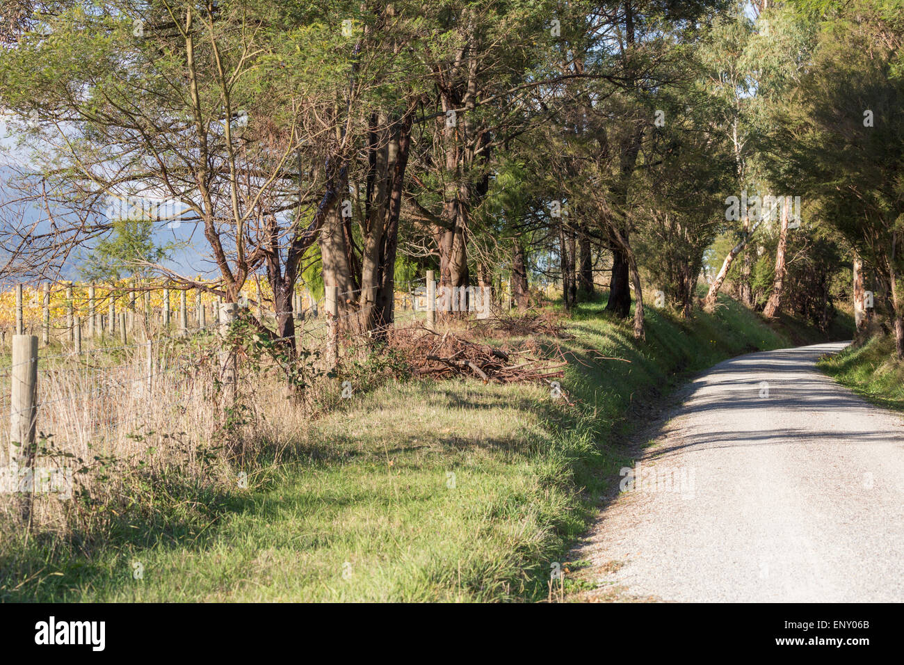 Road row hi-res stock photography and images - Alamy
