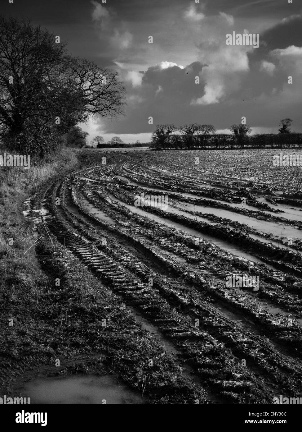 Black and white image. Muddy field in rural Norfolk Stock Photo - Alamy