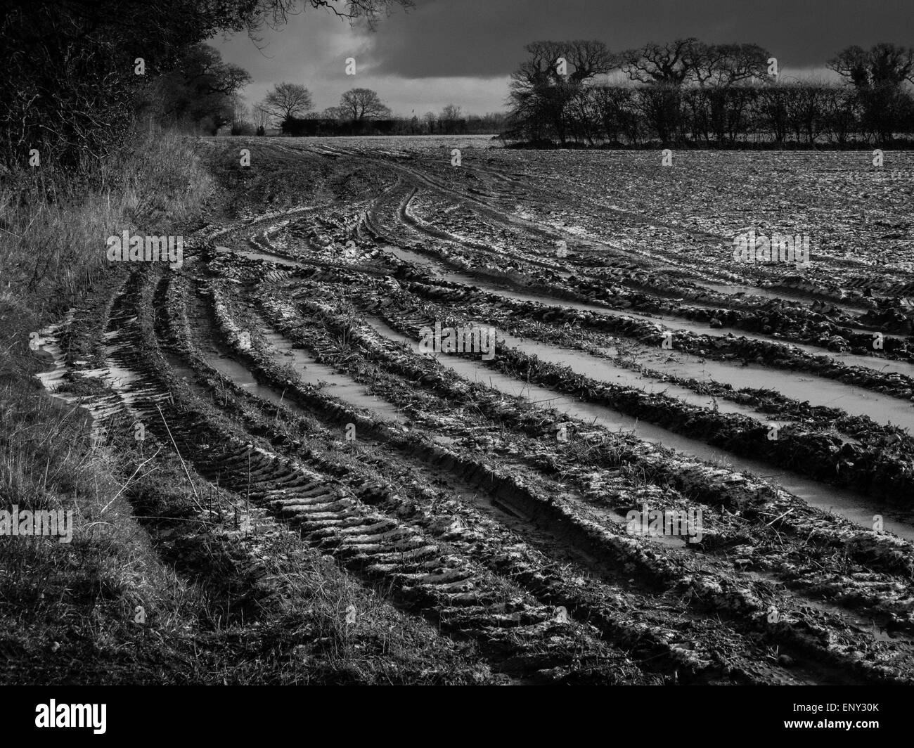Black and white image. Muddy field in rural Norfolk Stock Photo - Alamy