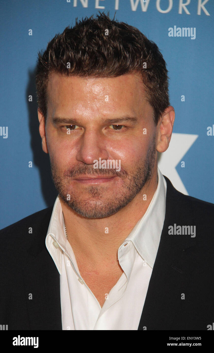 New York, New York, USA. 11th May, 2015. Actor DAVID BOREANAZ attends ...
