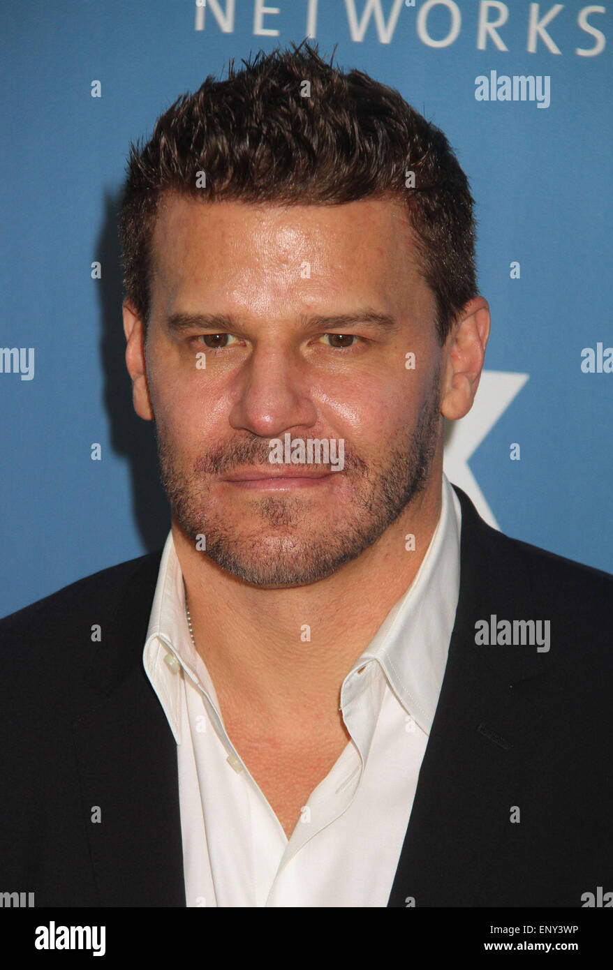 New York, New York, USA. 11th May, 2015. Actor DAVID BOREANAZ attends ...