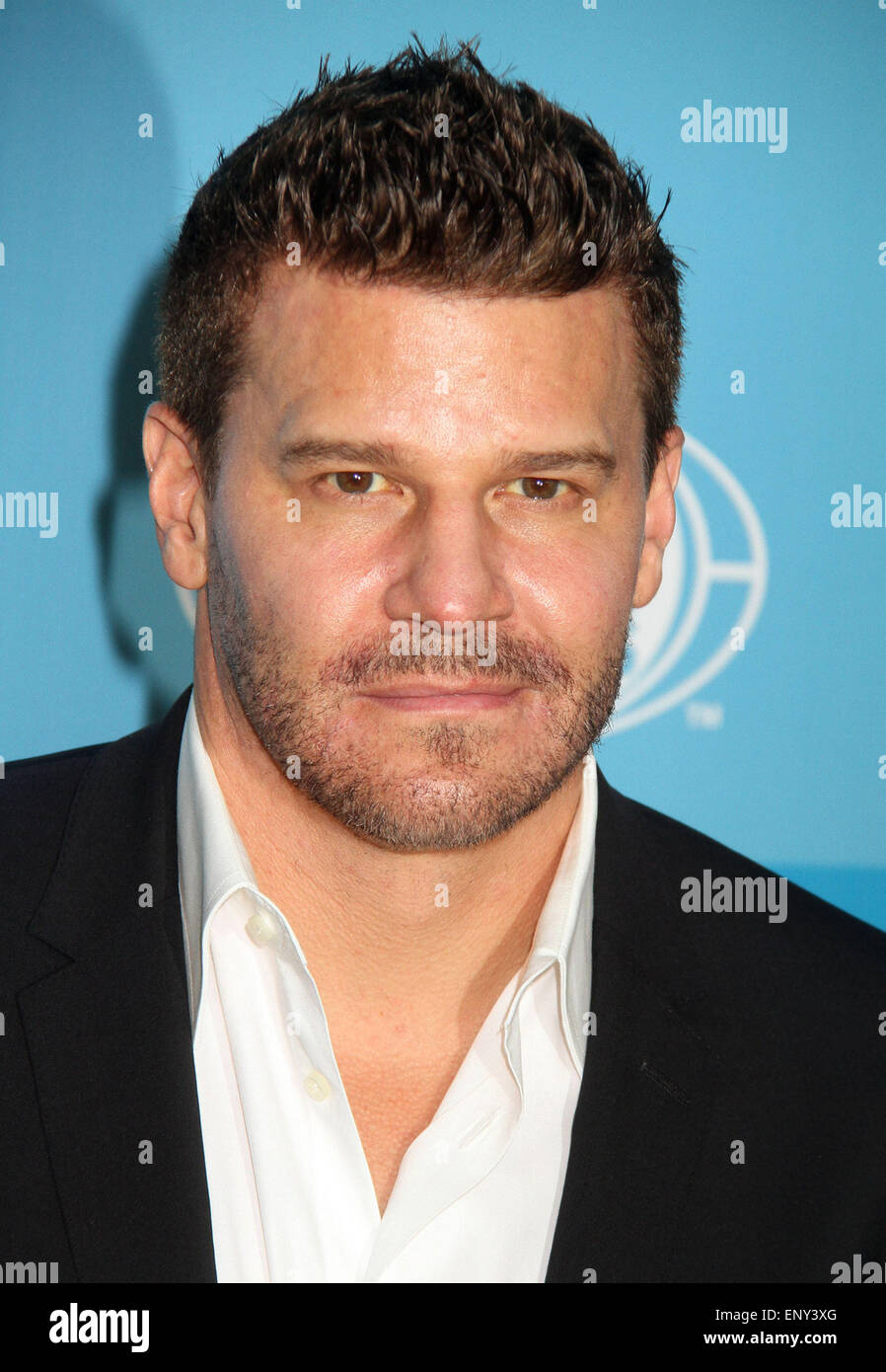 New York, New York, USA. 11th May, 2015. Actor DAVID BOREANAZ attends ...