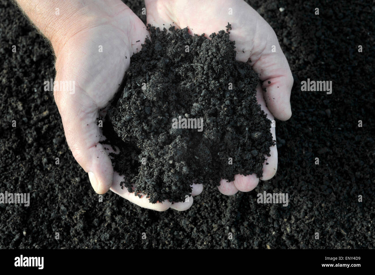 Gardener with compost Stock Photo - Alamy