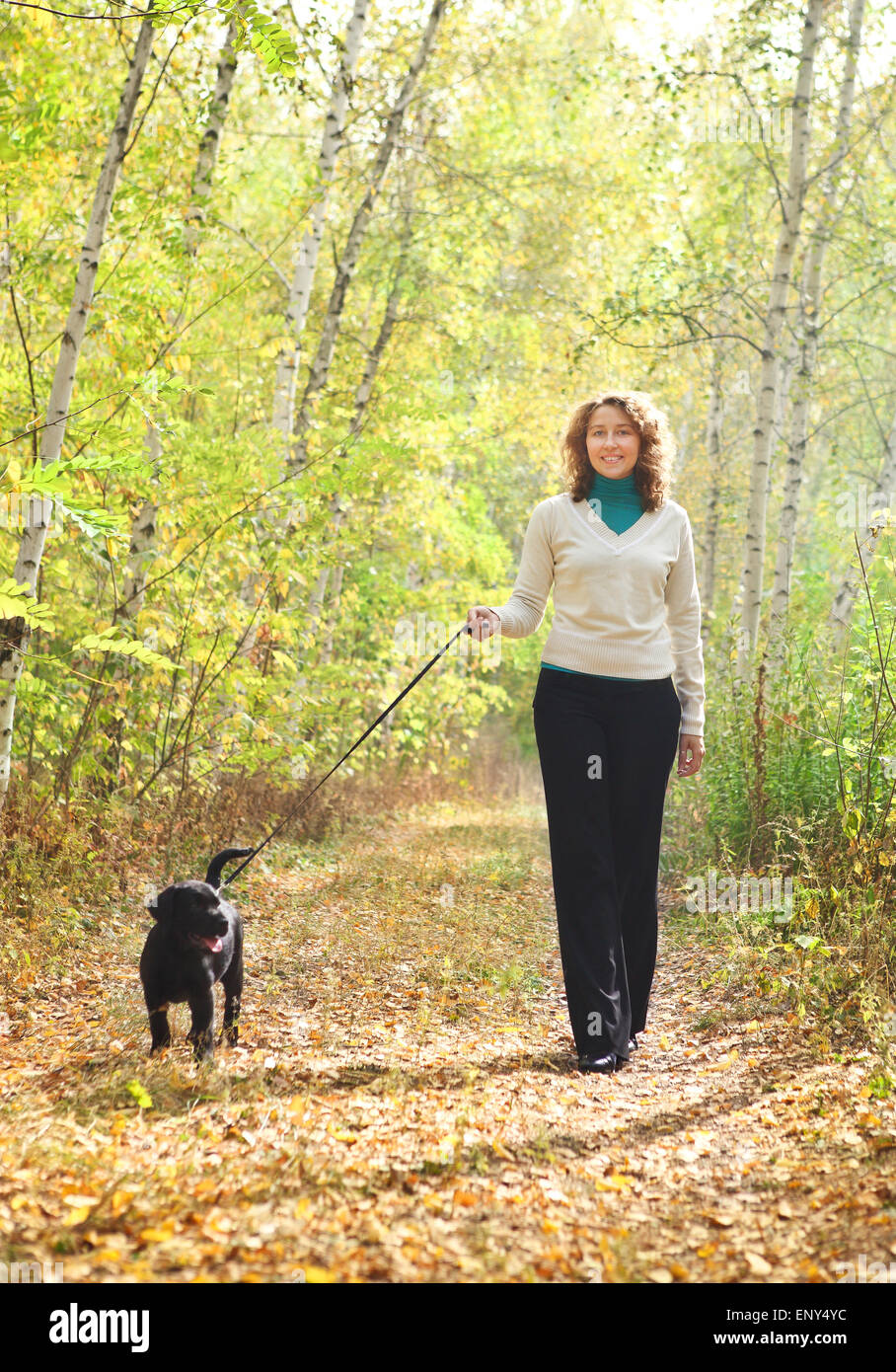 Young woman walking with black labrador retriever puppy Stock Photo - Alamy