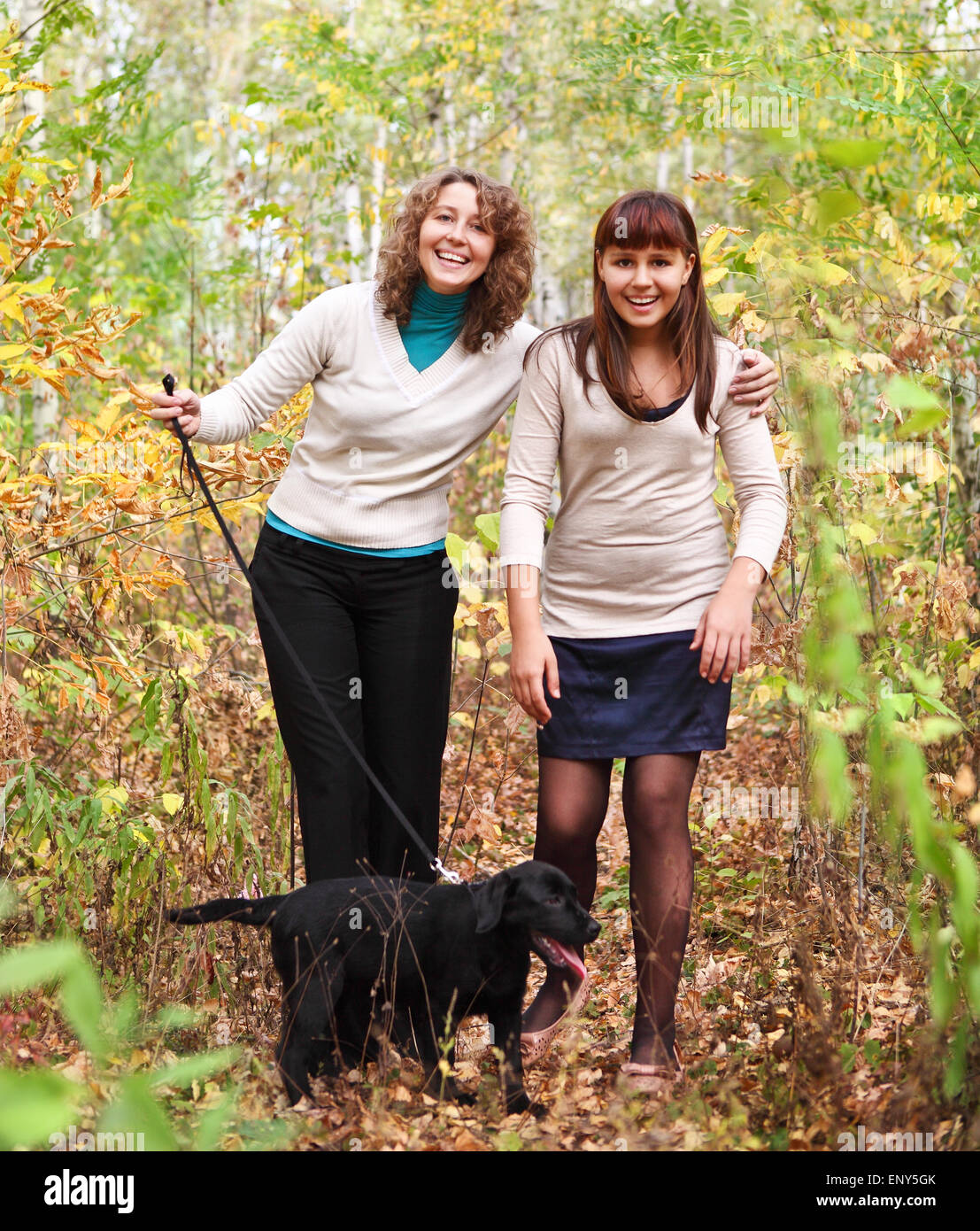 Walking black labrador retriever puppy outdoors Stock Photo - Alamy
