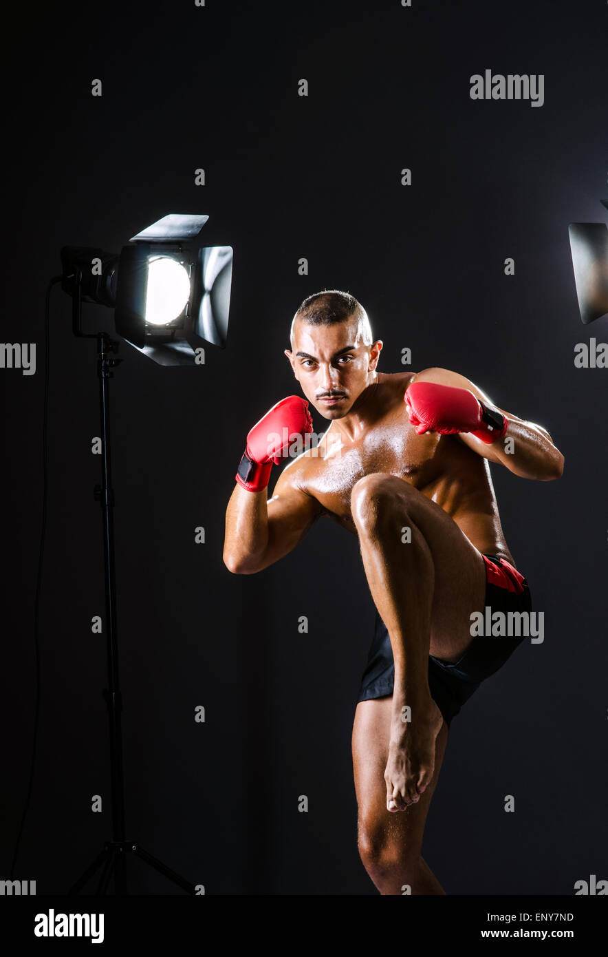 Boxer with studio lights in sports concept Stock Photo - Alamy