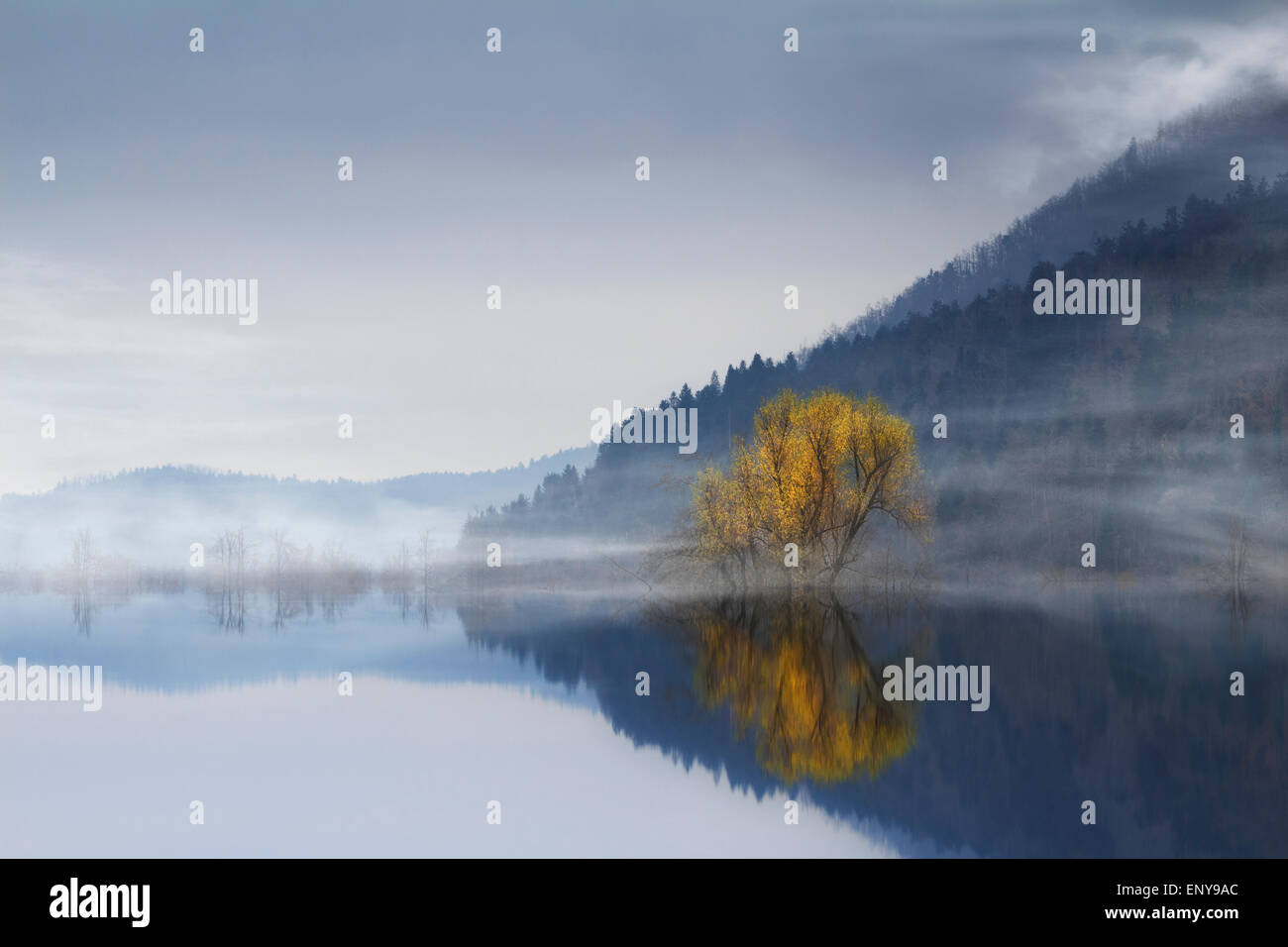 Trees reflected on water hi-res stock photography and images - Alamy