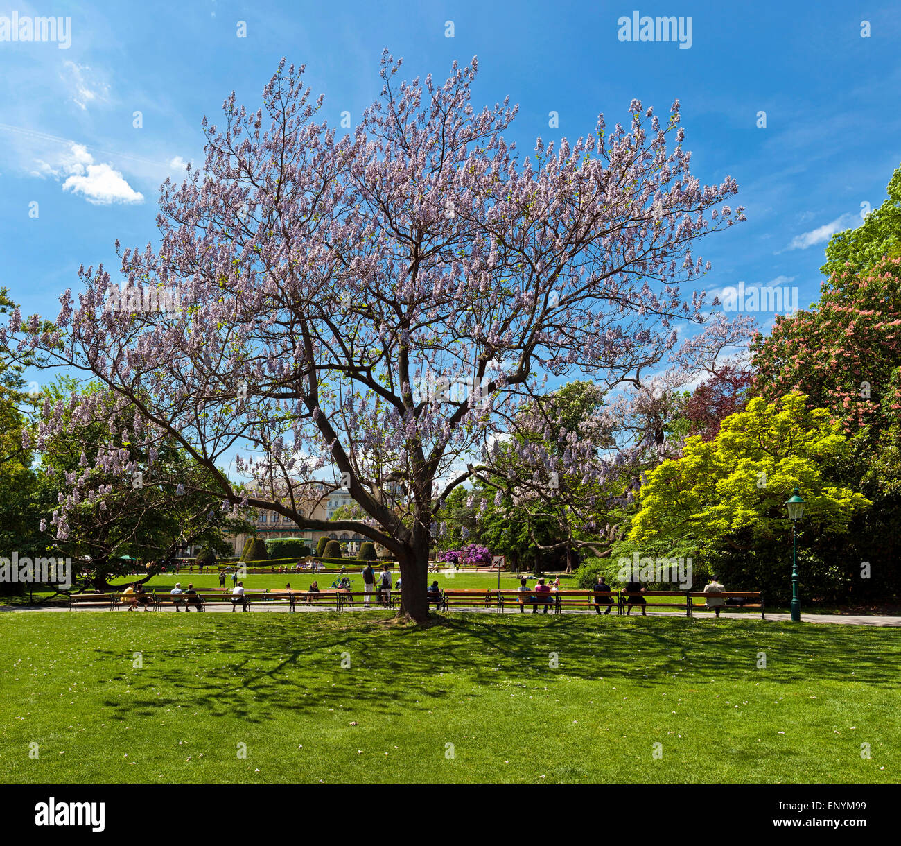 Spring vienna hi-res stock photography and images - Alamy