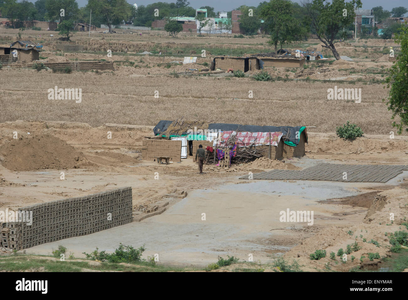India, countryside views between Agra and Delhi. Typical view of brick ...