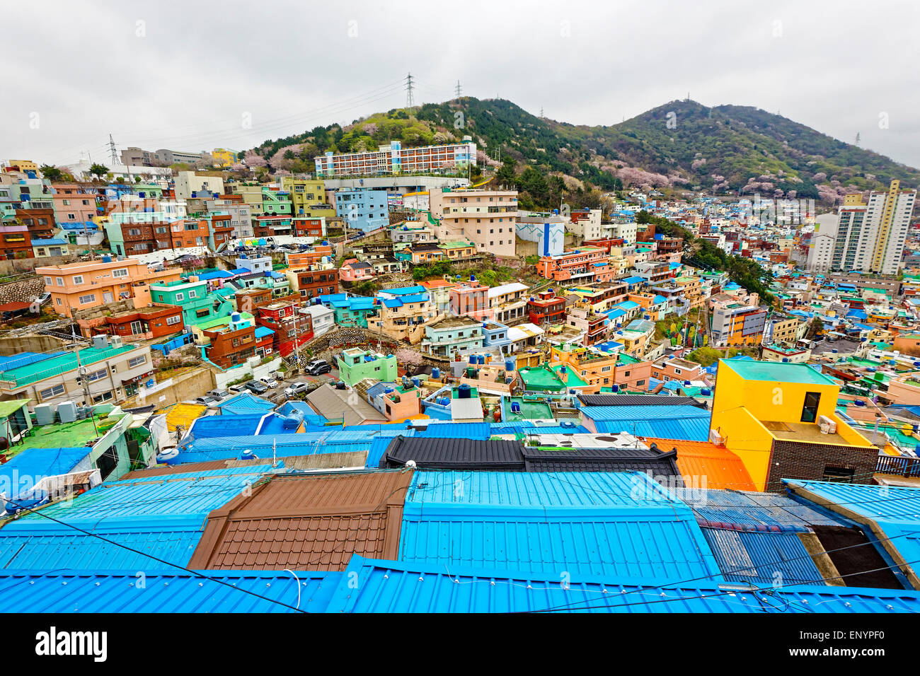 Gamcheon Culture Village, Busan, South Korea Stock Photo - Alamy