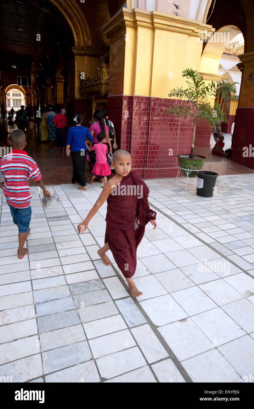 Novice monk by temple hi-res stock photography and images - Alamy