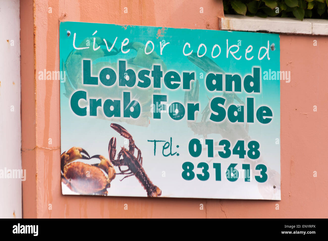 Lobster sign signs hi-res stock photography and images - Alamy