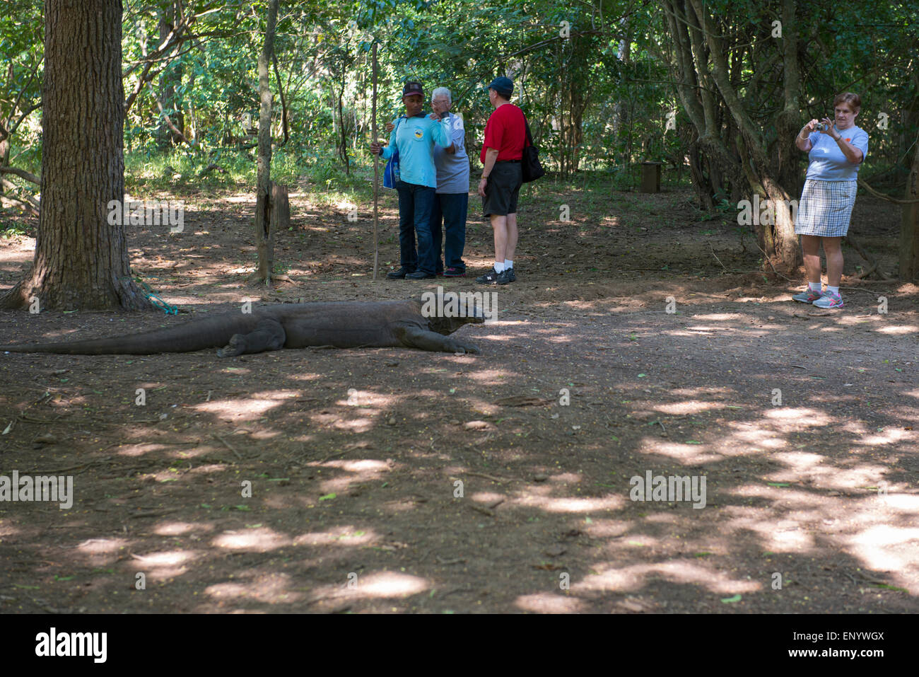 Komodo Island Indonesia People High Resolution Stock Photography and ...