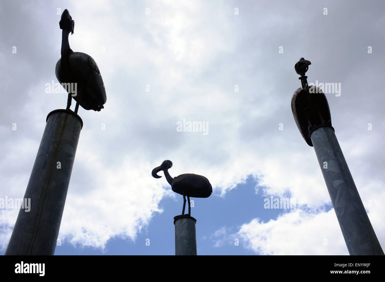 Jason bird hi-res stock photography and images - Alamy