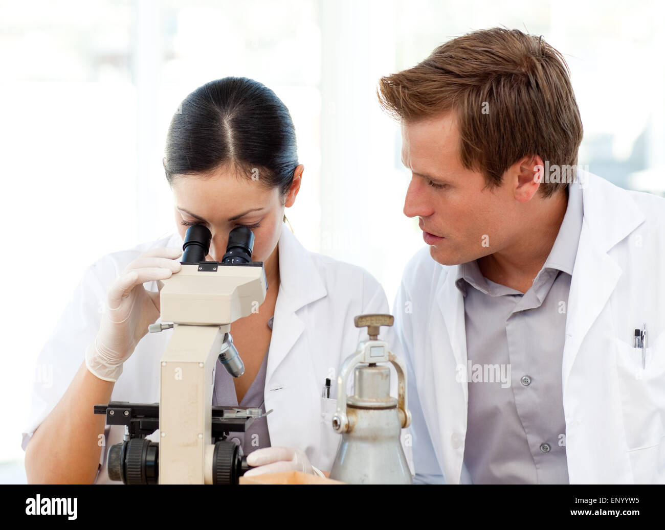 Scientists looking through a microscope Stock Photo - Alamy