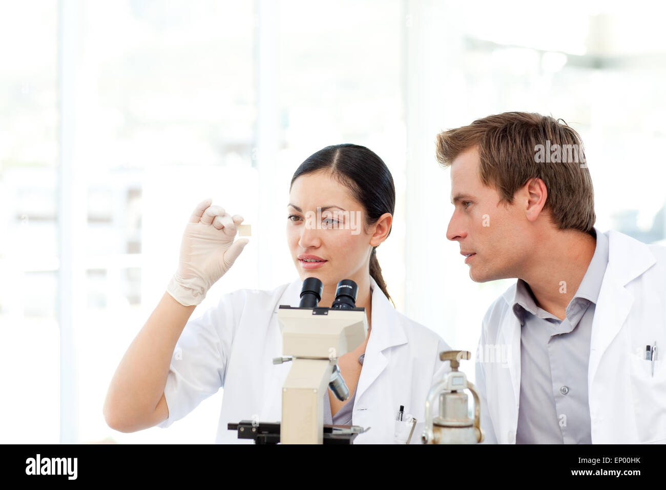 Scientists looking at a slide under a microscope Stock Photo - Alamy
