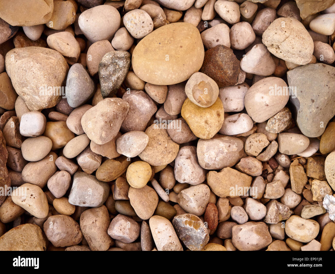 Close Up of Rocks on the ground, many different shapes Stock Photo - Alamy