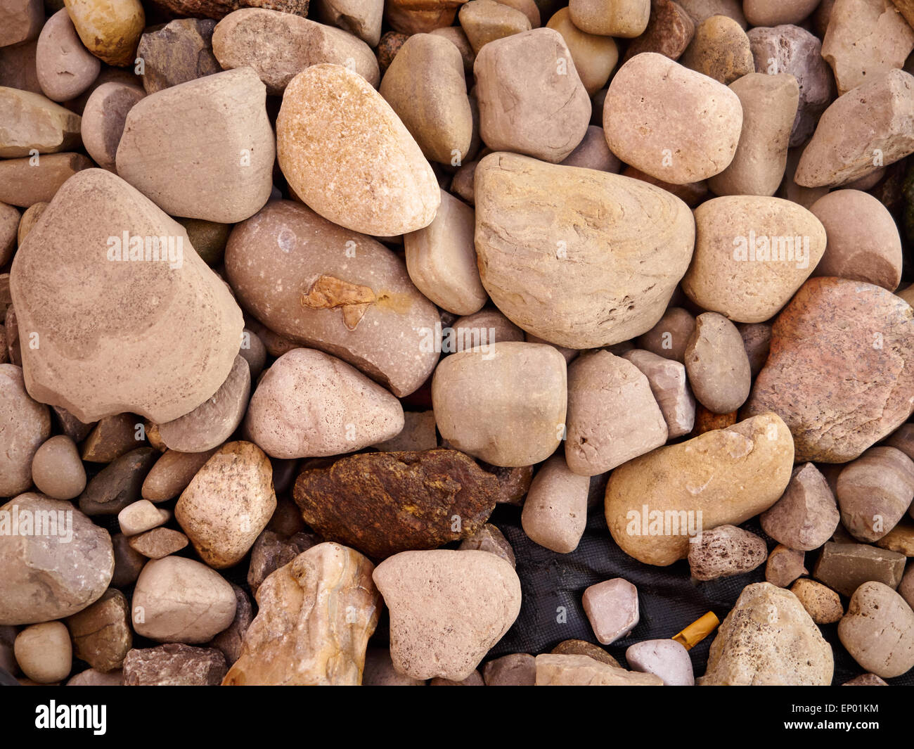 Close Up of Rocks on the ground, many different shapes Stock Photo - Alamy