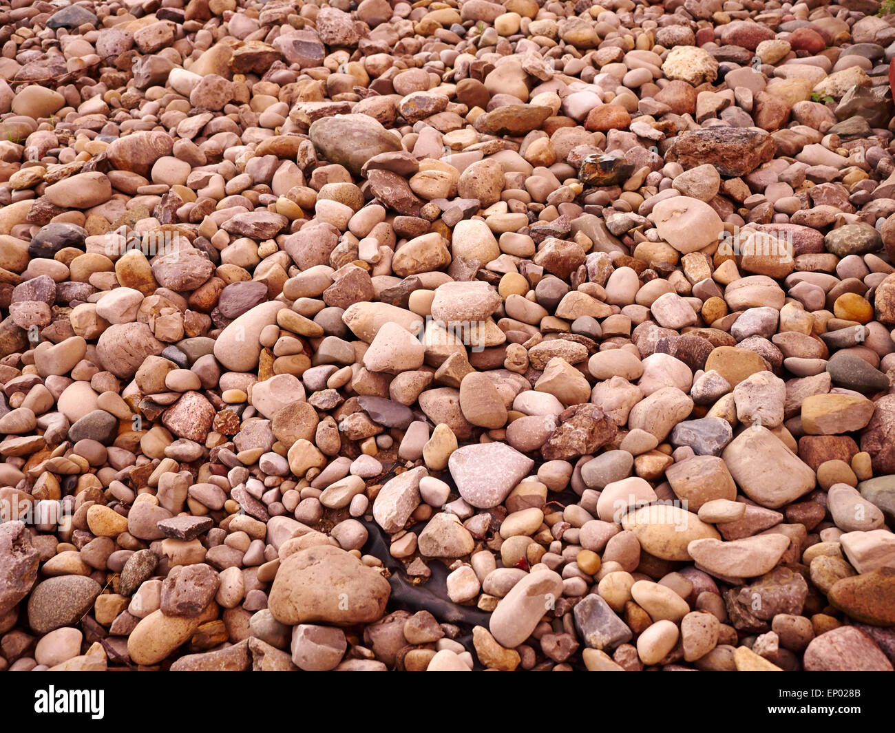 Close Up of Rocks on the ground, many different shapes Stock Photo - Alamy
