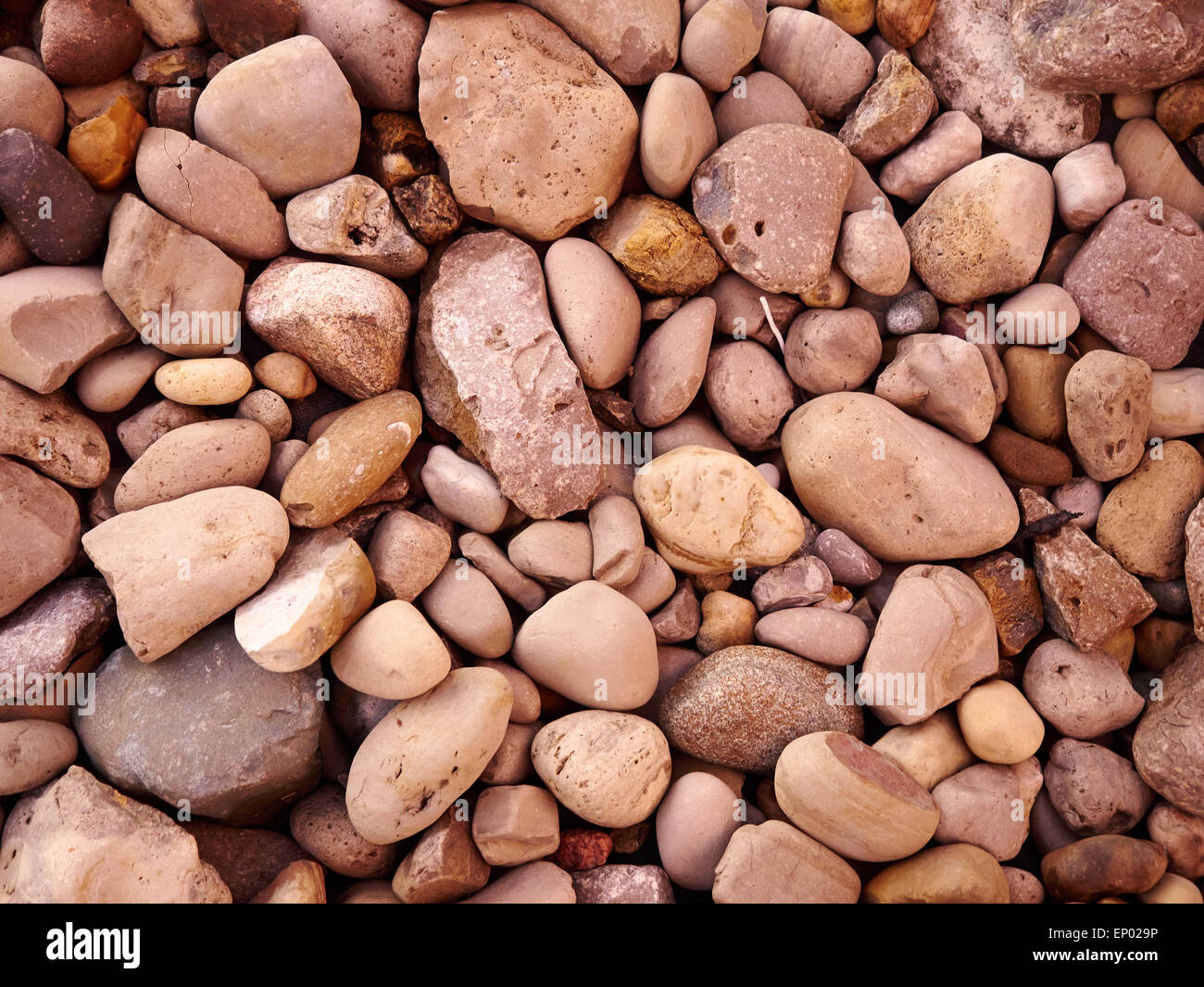 Close Up of Rocks on the ground, many different shapes Stock Photo - Alamy
