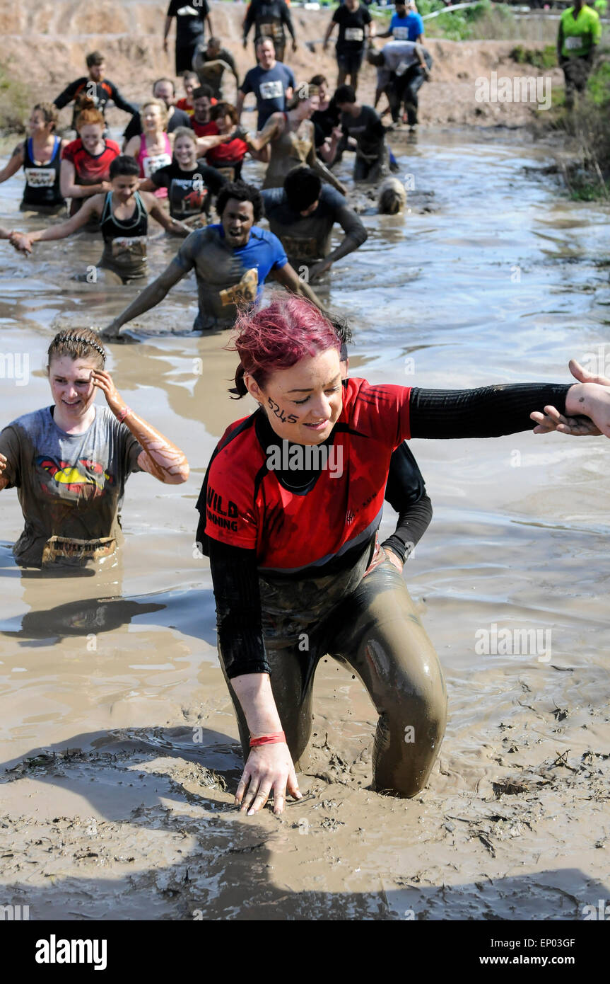 Red haired young woman leads competitors out of the mud lake, obstacle course race Stock Photo ...