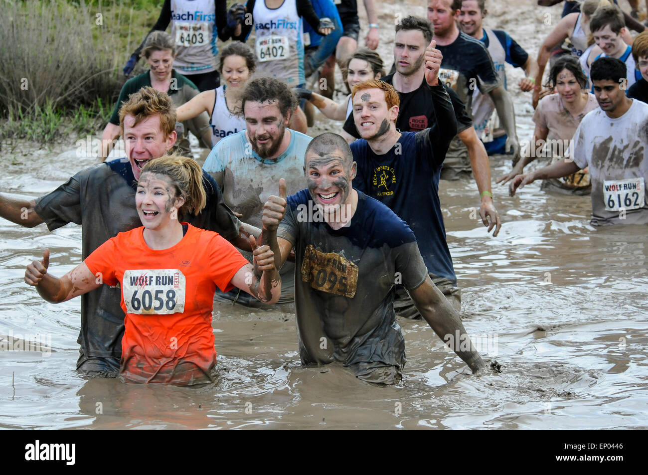 Mud covered young men and women competitors waist deep in mud lake, obstacle course race Stock ...