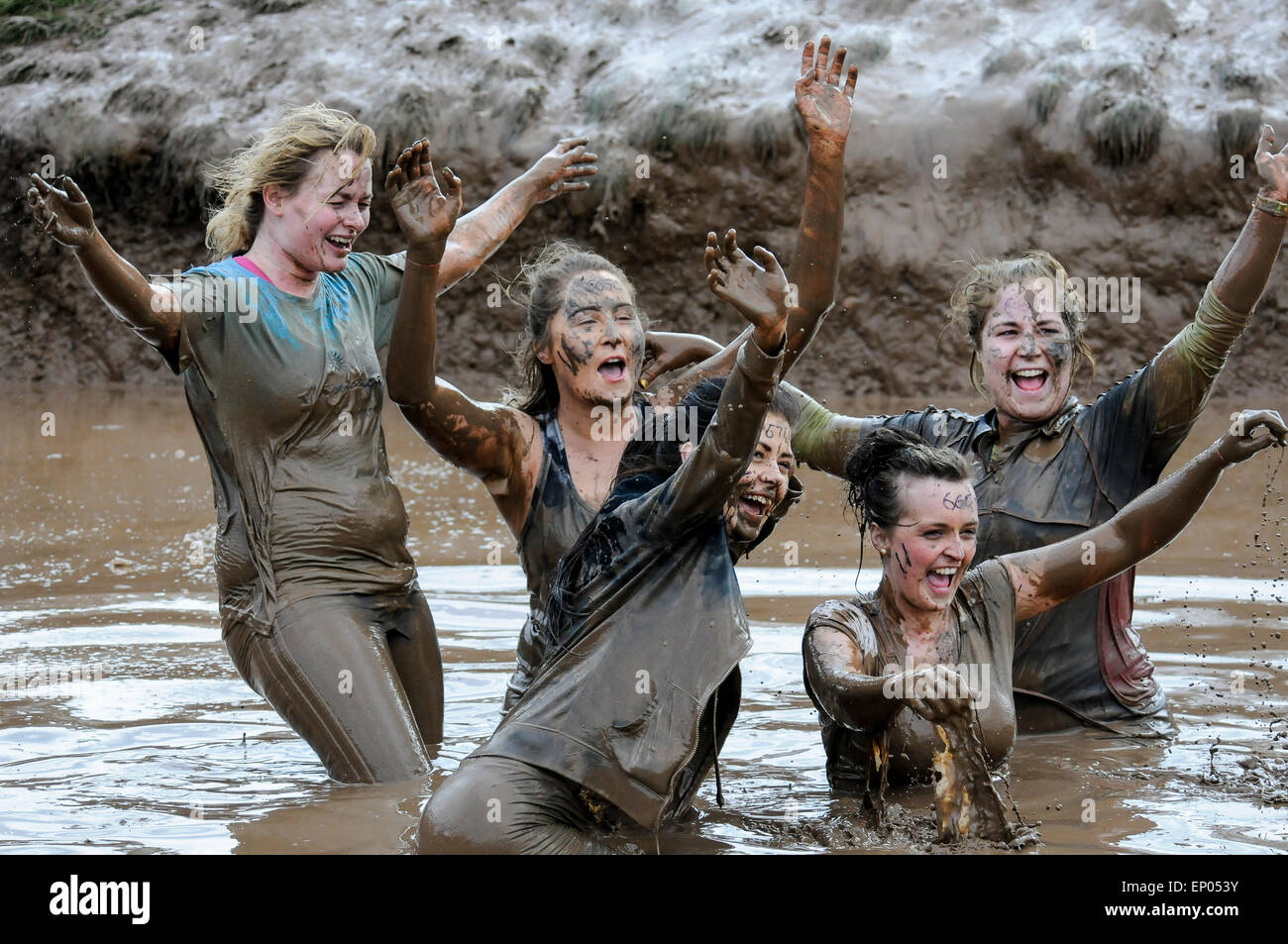 Mud covered women competitors celebrate finishing race, waist deep in mud, obstacle course race ...