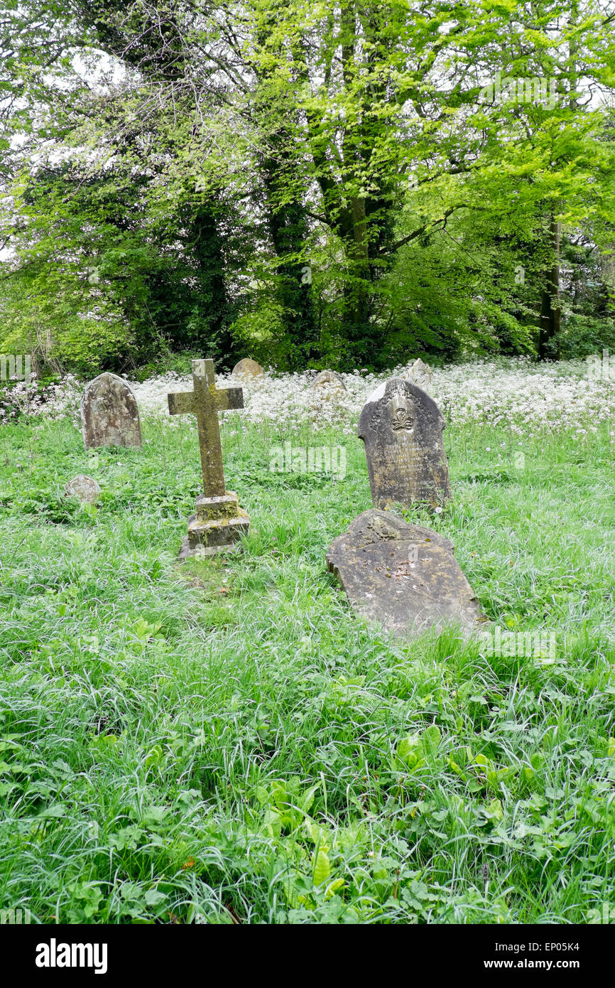 Old gravestones in an overgrown cemetery Stock Photo - Alamy