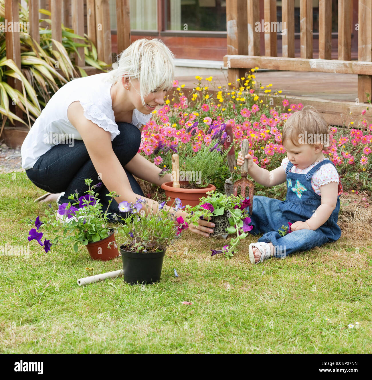 Fresh animated flower hi-res stock photography and images - Alamy