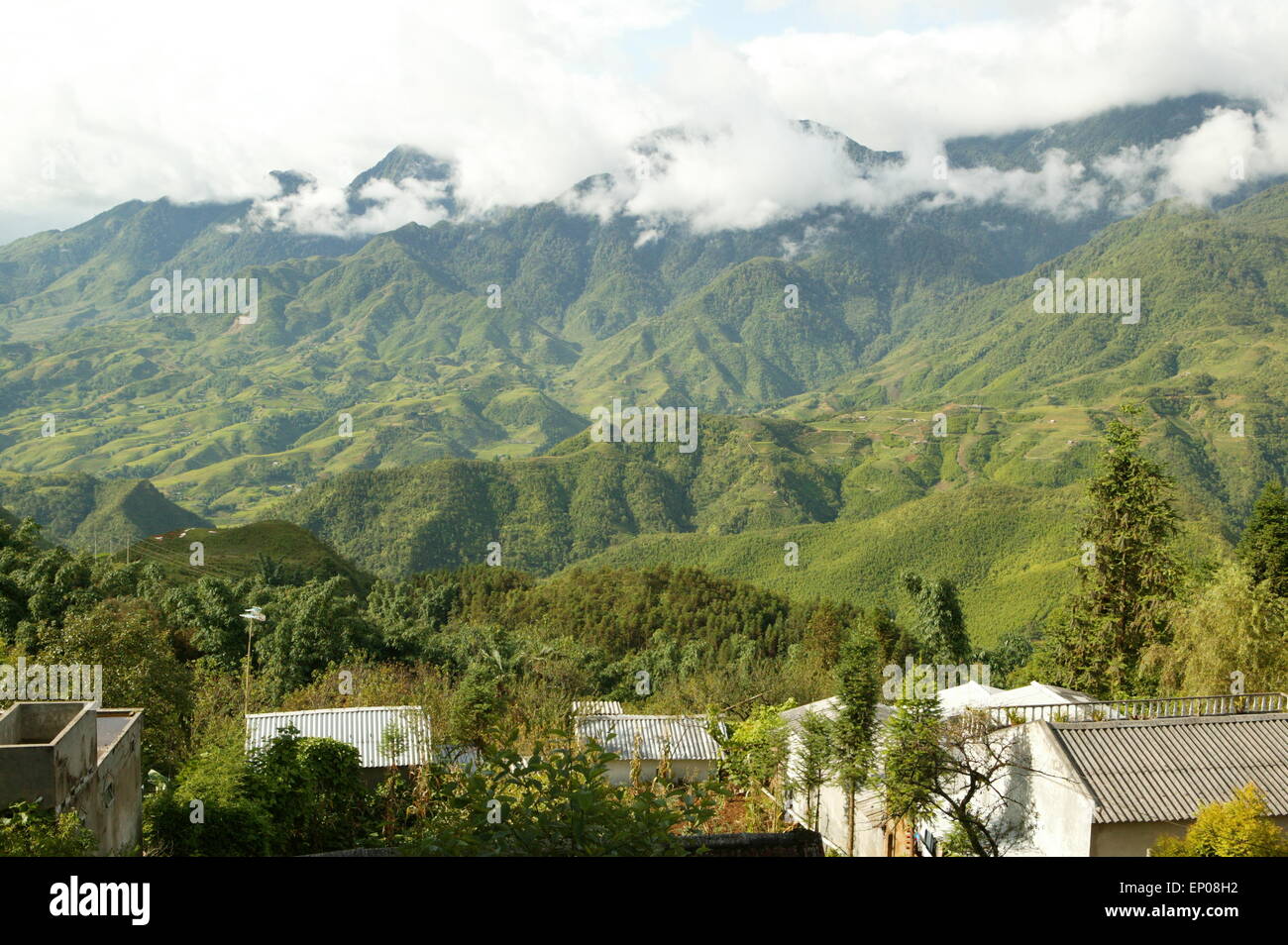 Rice fields in the Sapa area in Vietnam Stock Photo - Alamy