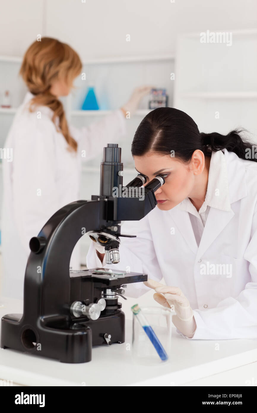 Two female scientists conducting an experiment Stock Photo - Alamy