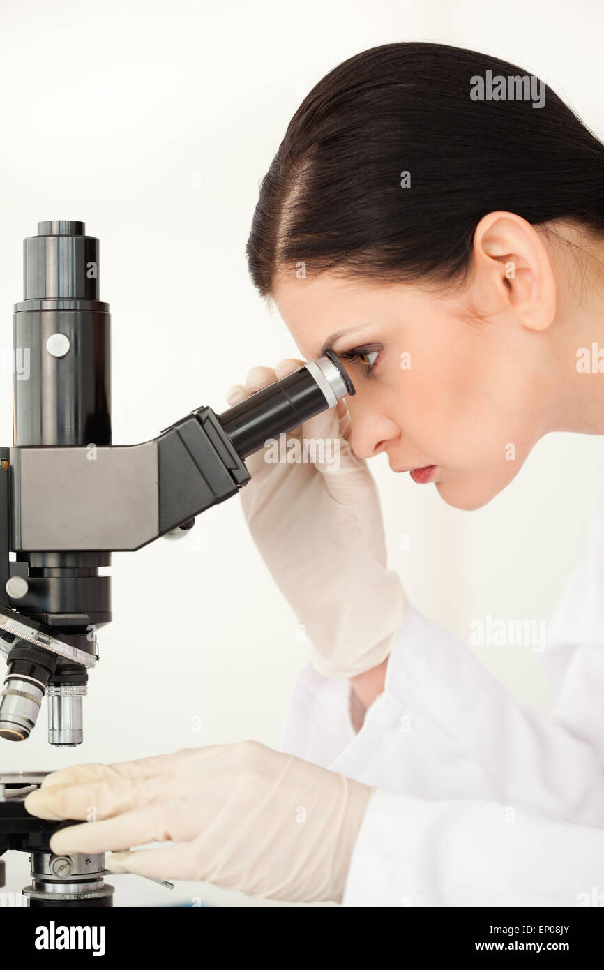 Scientist conducting an experiment looking through a microscope Stock ...
