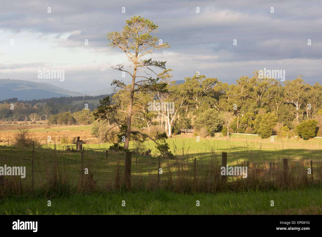 Green ranges hi-res stock photography and images - Alamy