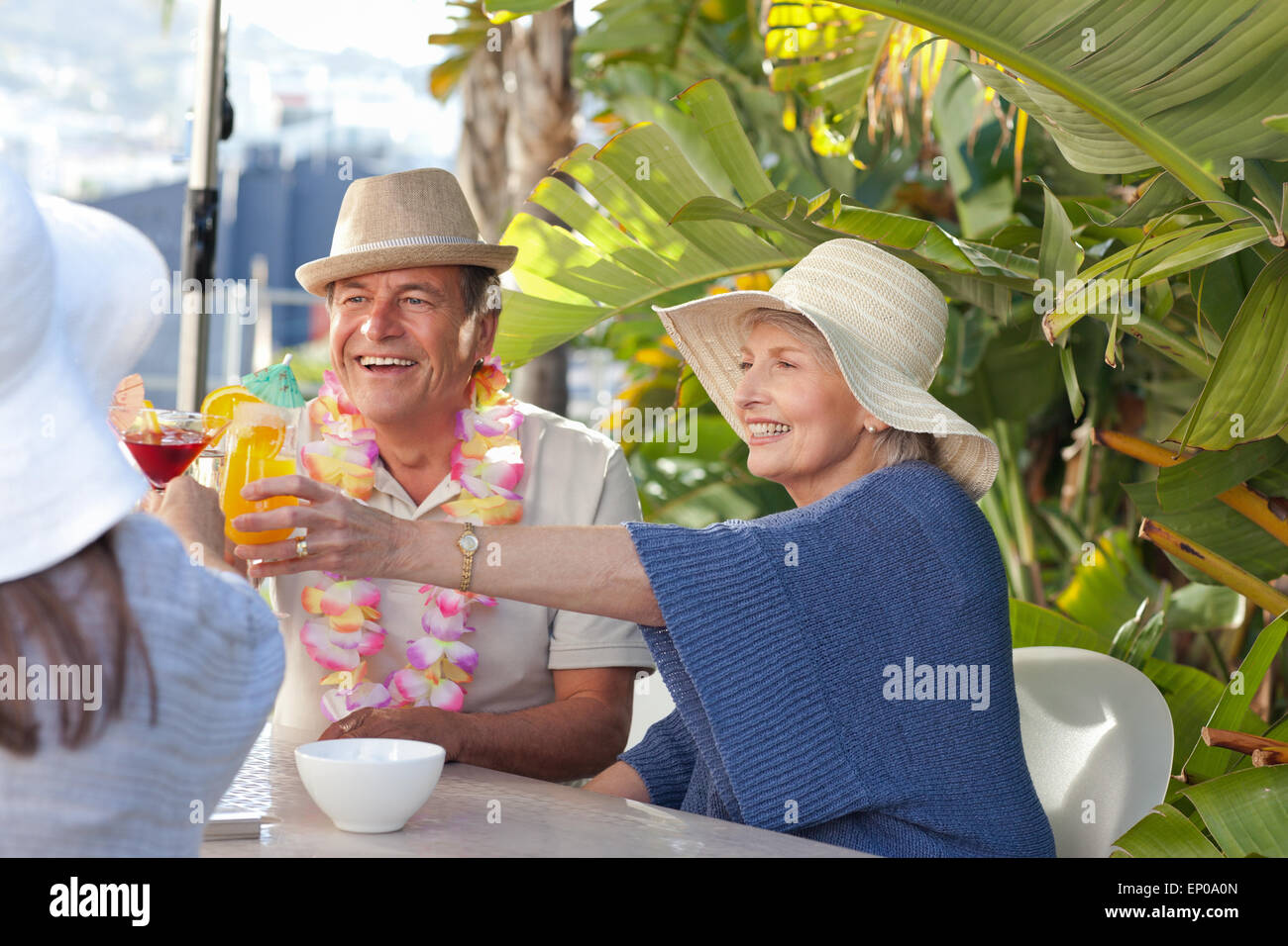 Friends drinking together under the sun Stock Photo - Alamy