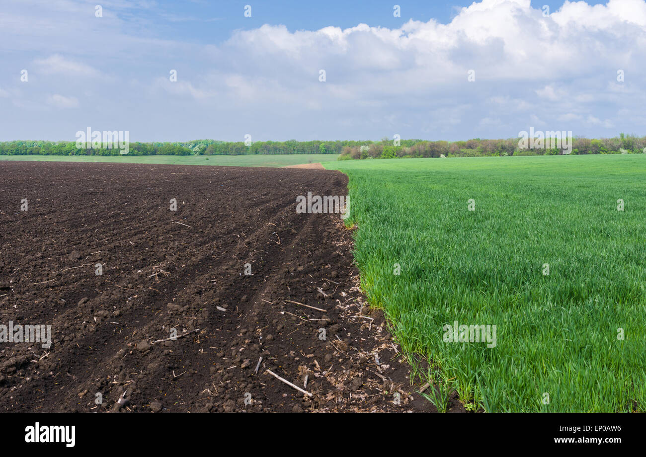Ukrainian fields hi-res stock photography and images - Alamy