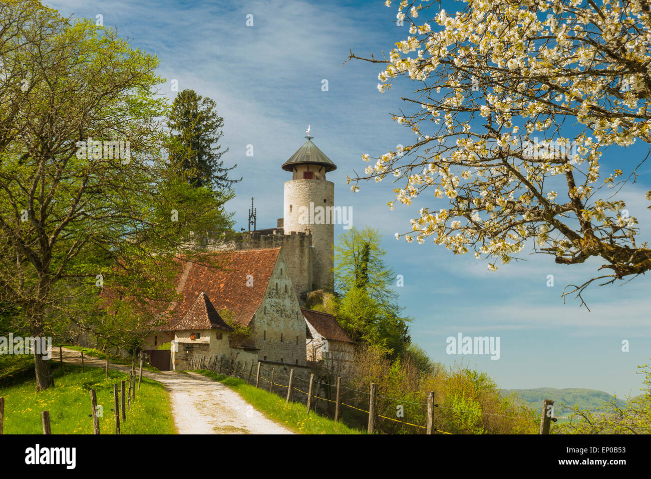 Early spring afternoon at Birseck Castle near Arlesheim, Switzerland ...