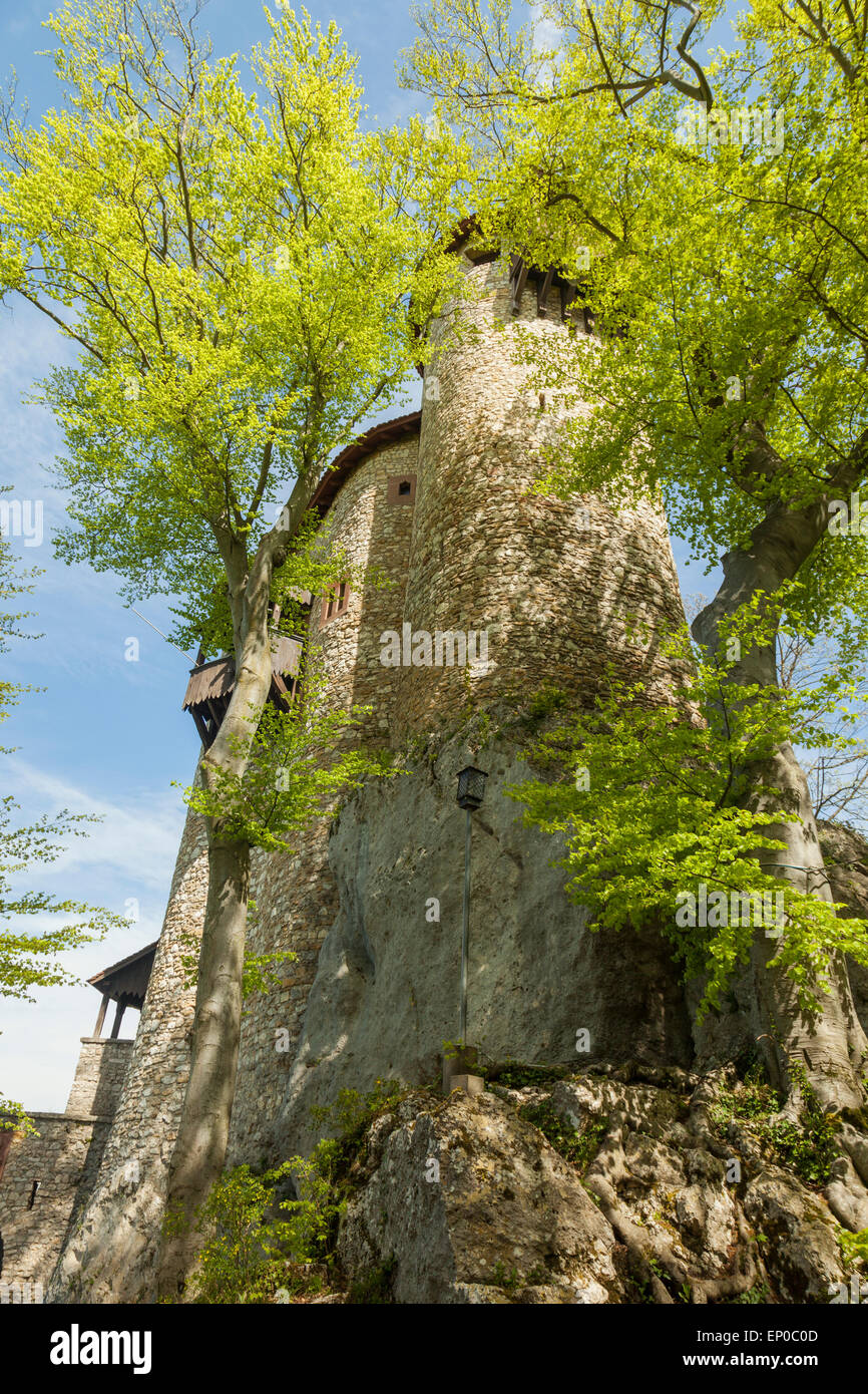 Reichenstein castle near Arlesheim in Switzerland Stock Photo - Alamy