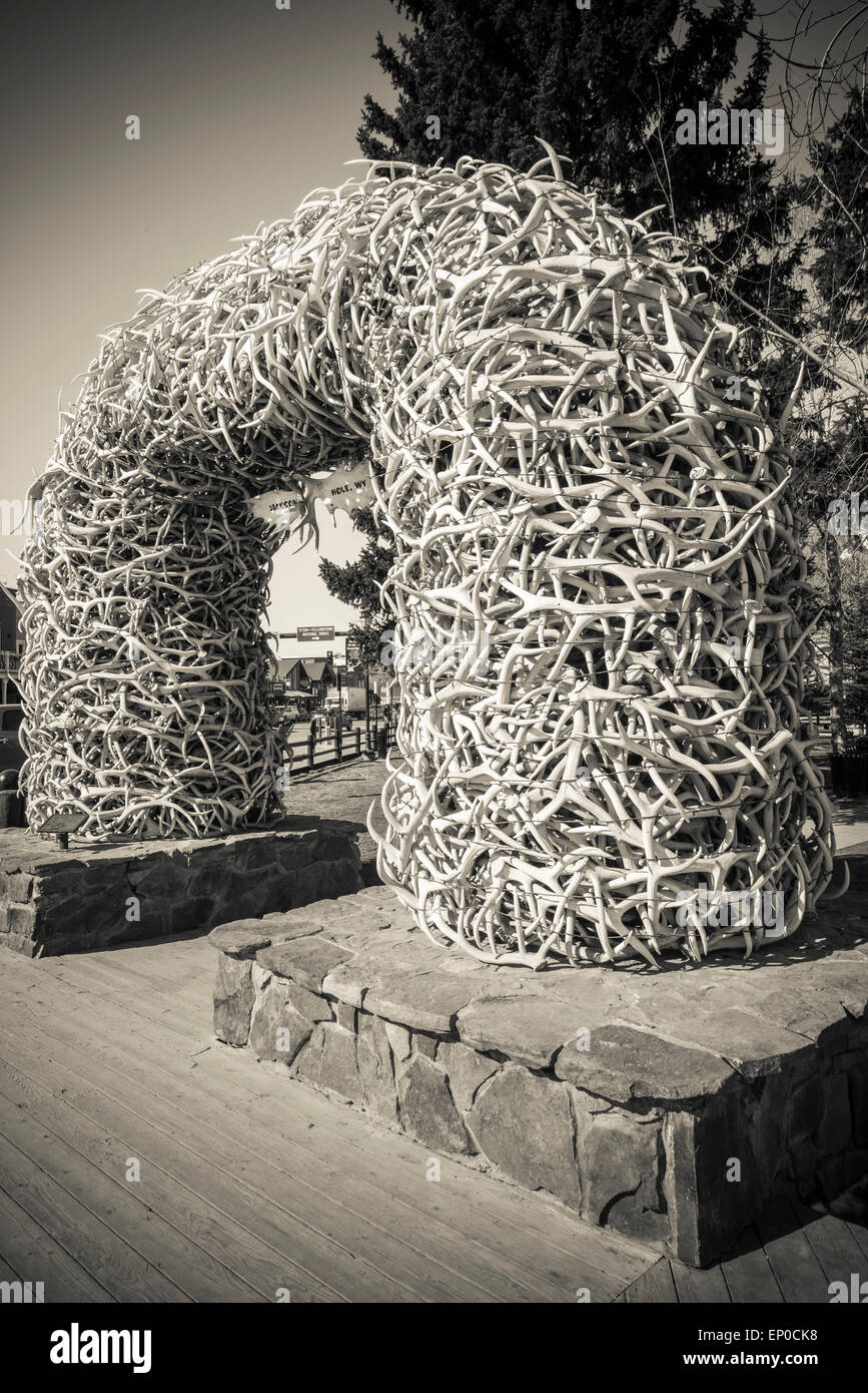 Antler structures hi-res stock photography and images - Alamy