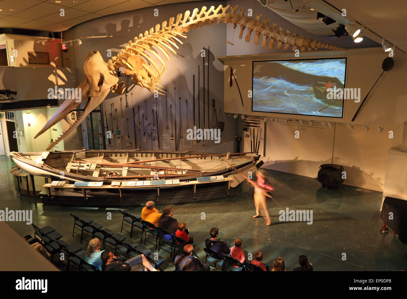 Nantucket Whaling museum lecture hall with sperm whale skeleton and ...