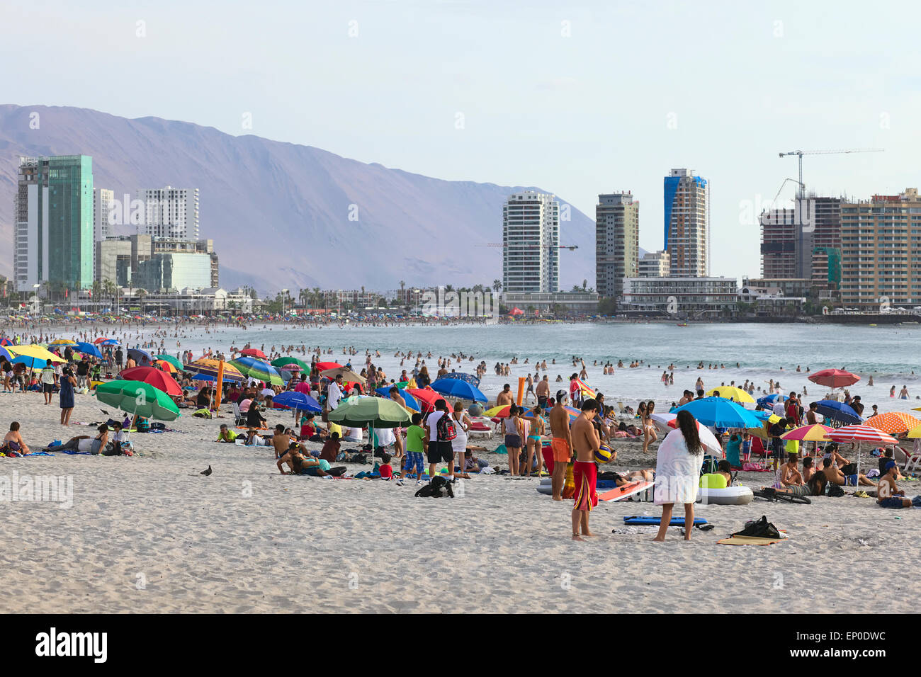 Cavancha beach in Iquique, Chile Stock Photo: 82374808 - Alamy