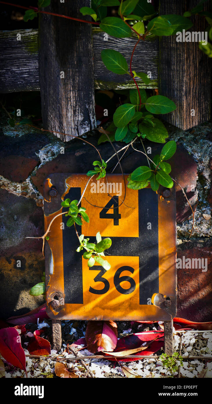 Fire hydrant sign partially hidden under bush Stock Photo - Alamy