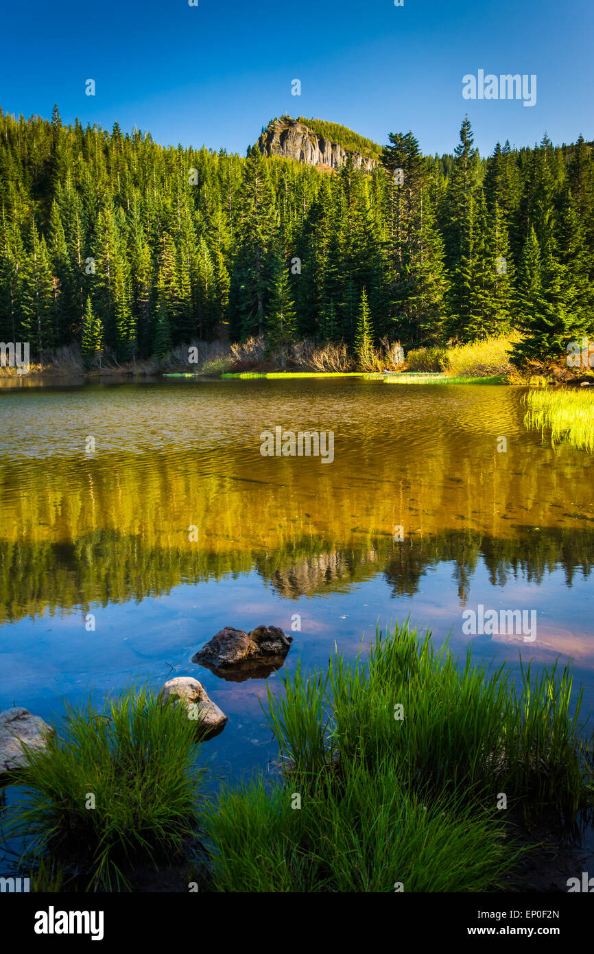 Mirror Lake, in Mount Hood National Forest, Oregon Stock Photo - Alamy