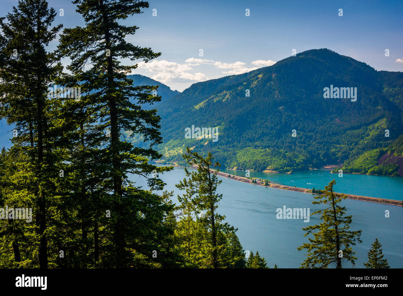 View of the Columbia River from Mitchell Point, Columbia River Gorge ...