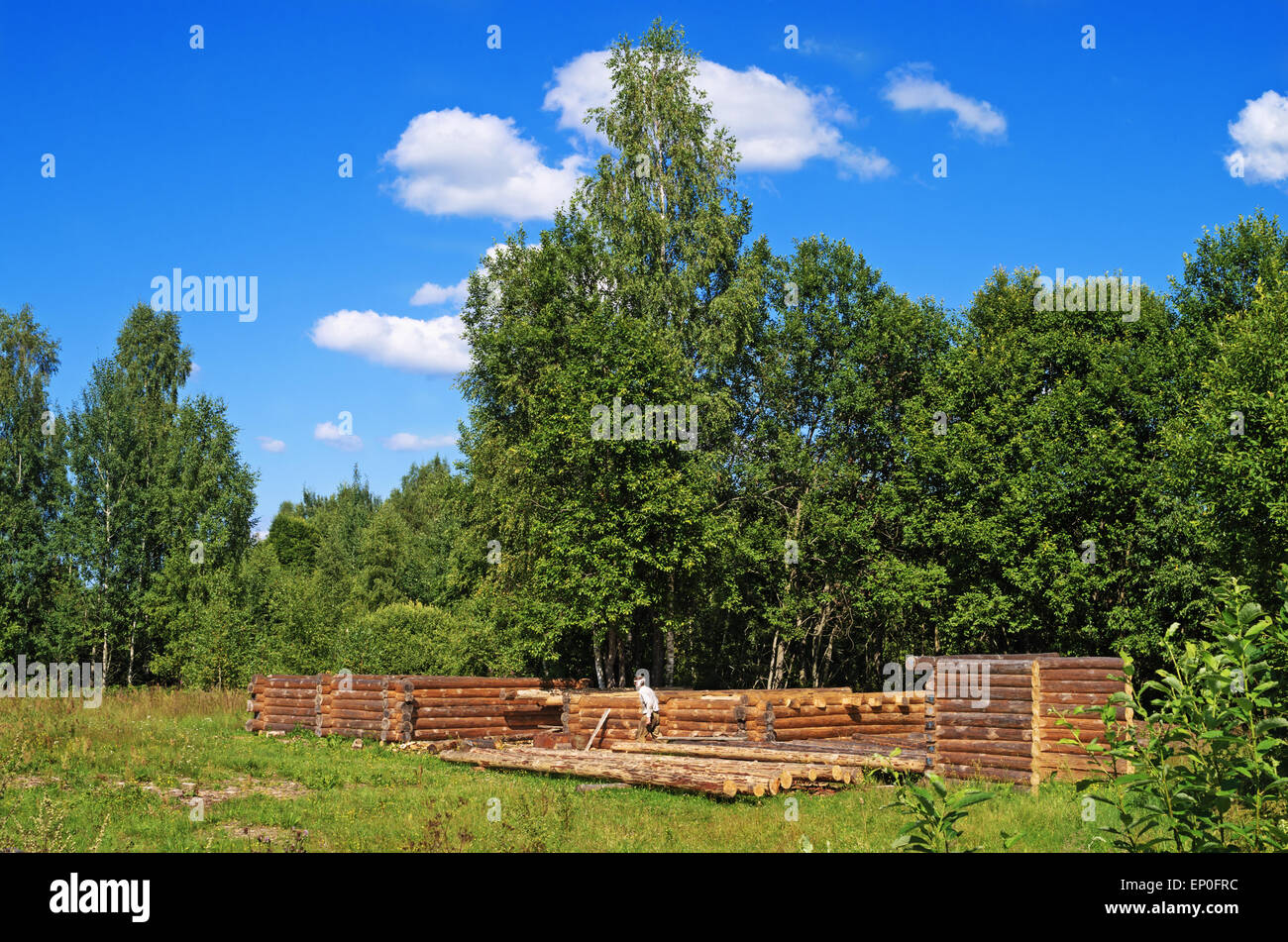 Village landscape with log-house Stock Photo - Alamy
