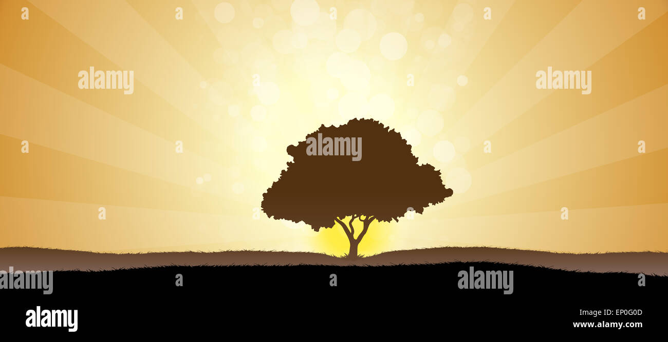 Orange Sunset with Landscape, Rays and Tree Stock Photo - Alamy