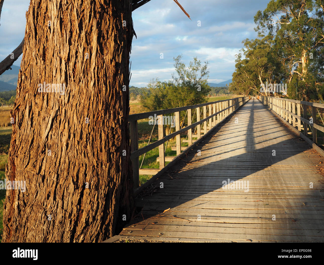 Warburton victoria australia hi-res stock photography and images - Alamy