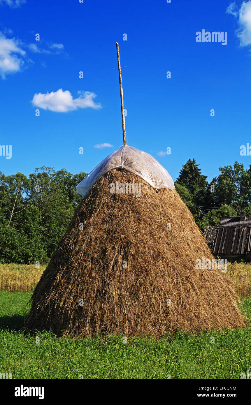 Village landscape with hay stack Stock Photo - Alamy
